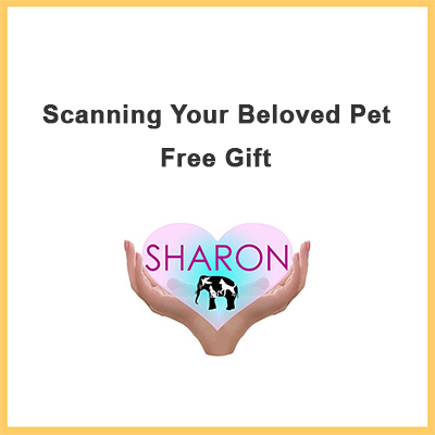 Scanning Your Beloved Pet - By Sharon Josef - Free Gift - Sharon Josef ...
